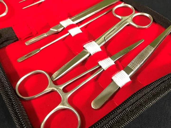 Top 8 Best Dissection Kits November 2023 